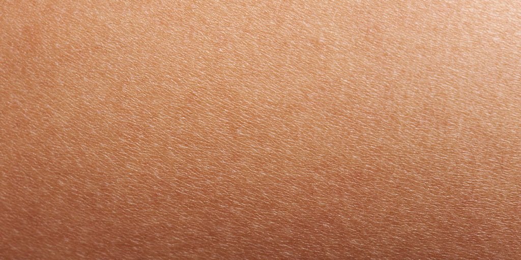 Kožné alergie a ďalšie hlavné typy alergických reakcií